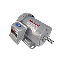 ประธานการไฟฟ้า