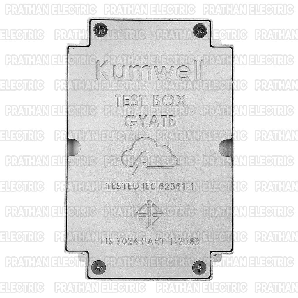 ประธานการไฟฟ้า