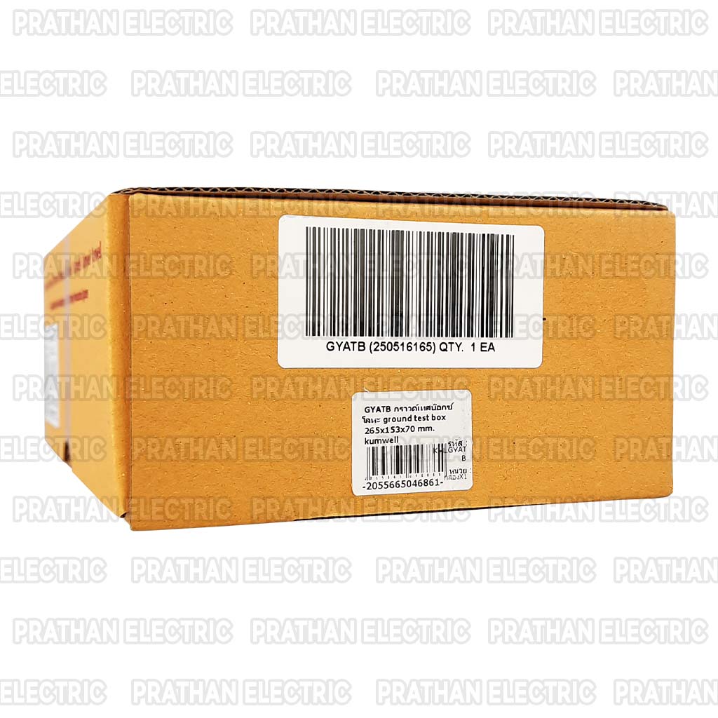 ประธานการไฟฟ้า