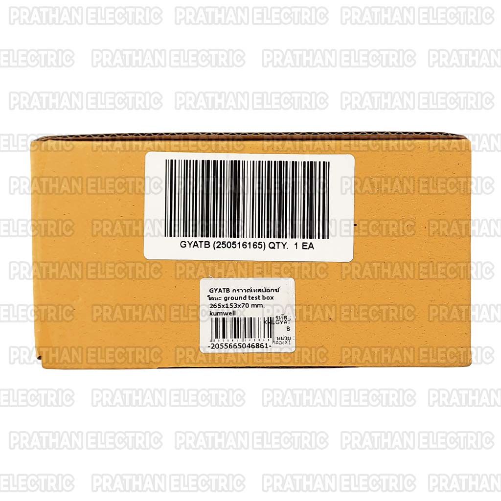 ประธานการไฟฟ้า