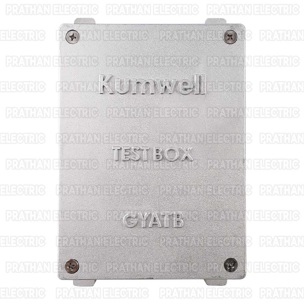 ประธานการไฟฟ้า