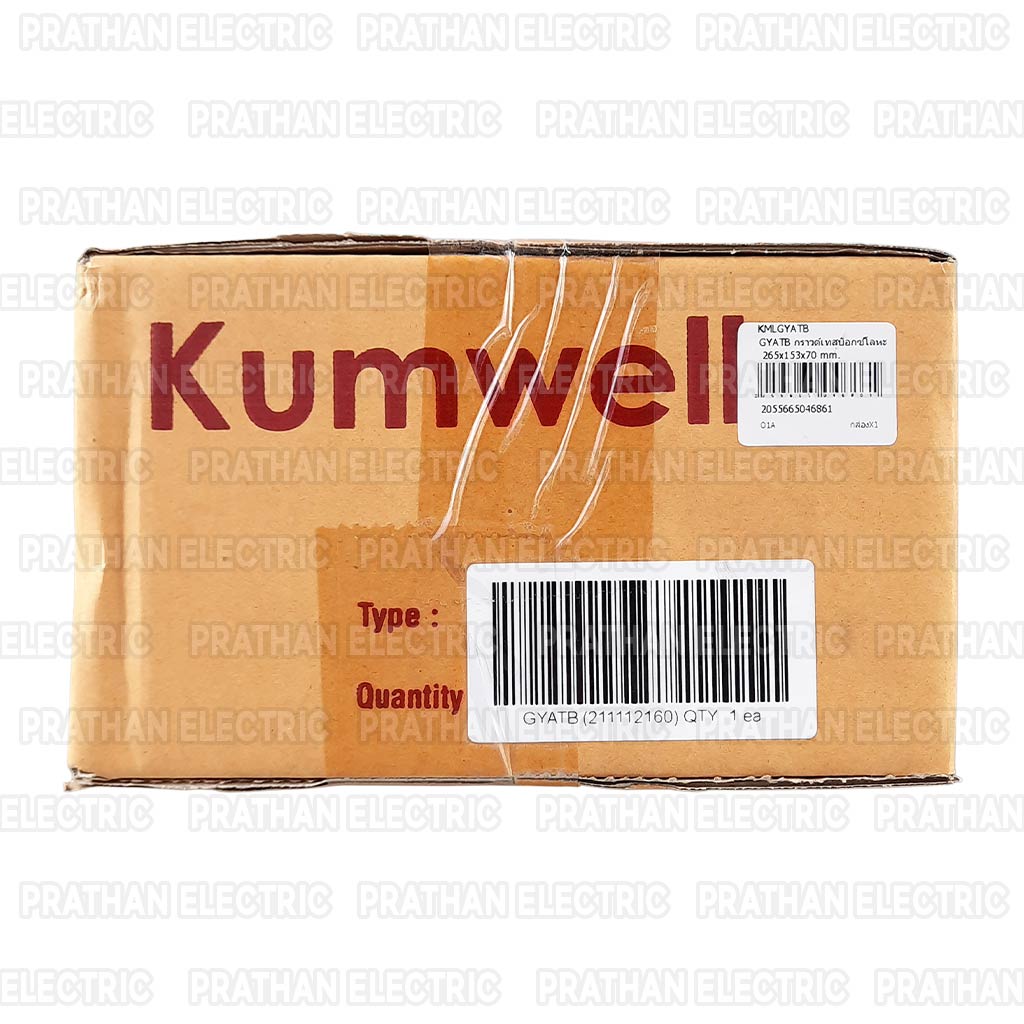 ประธานการไฟฟ้า