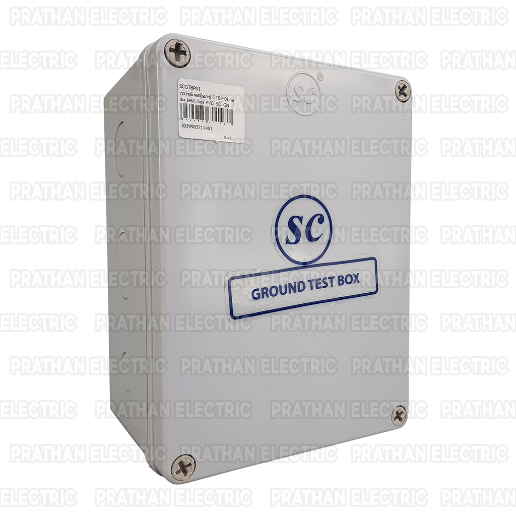 ประธานการไฟฟ้า