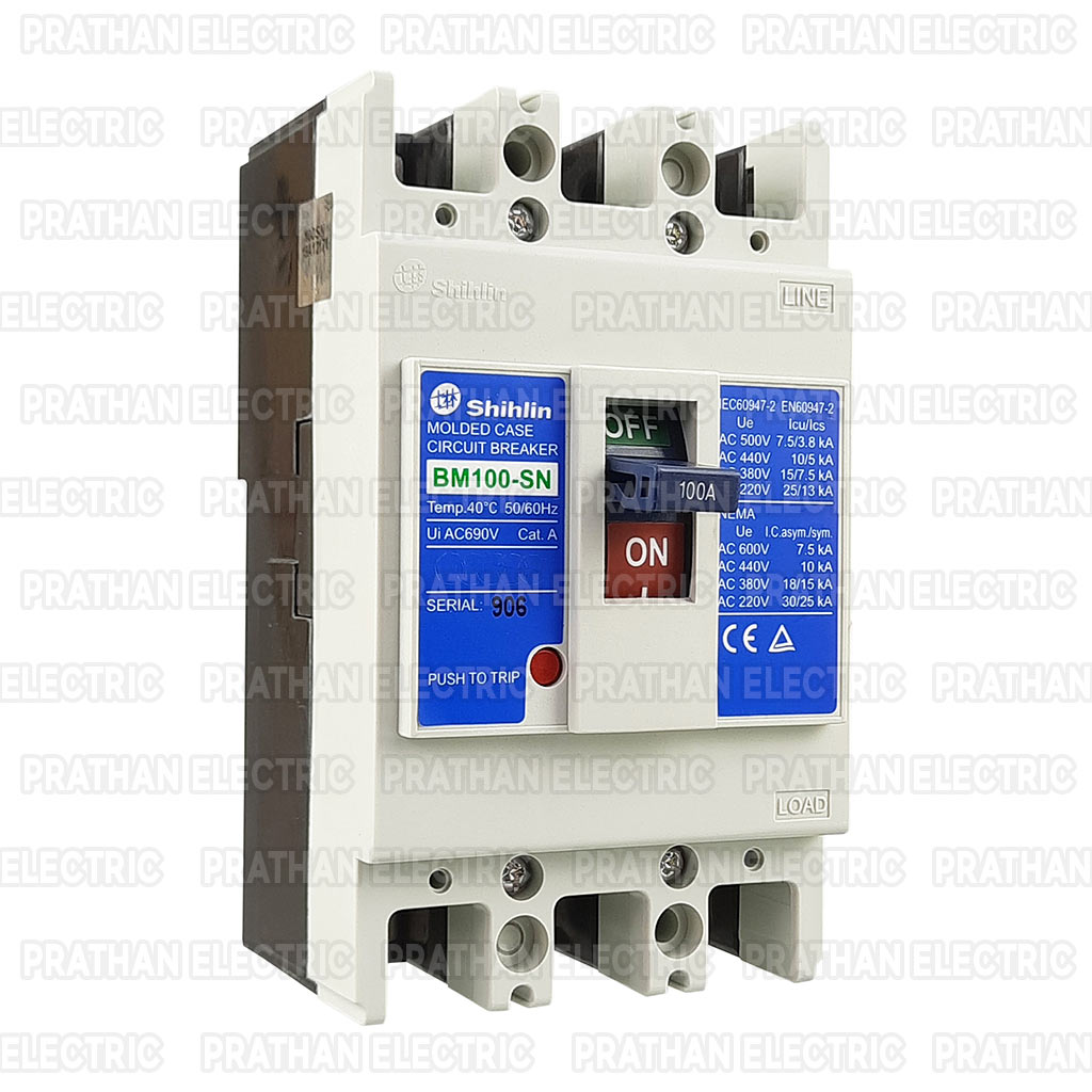 ประธานการไฟฟ้า