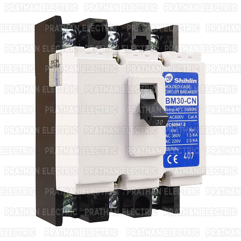 ประธานการไฟฟ้า