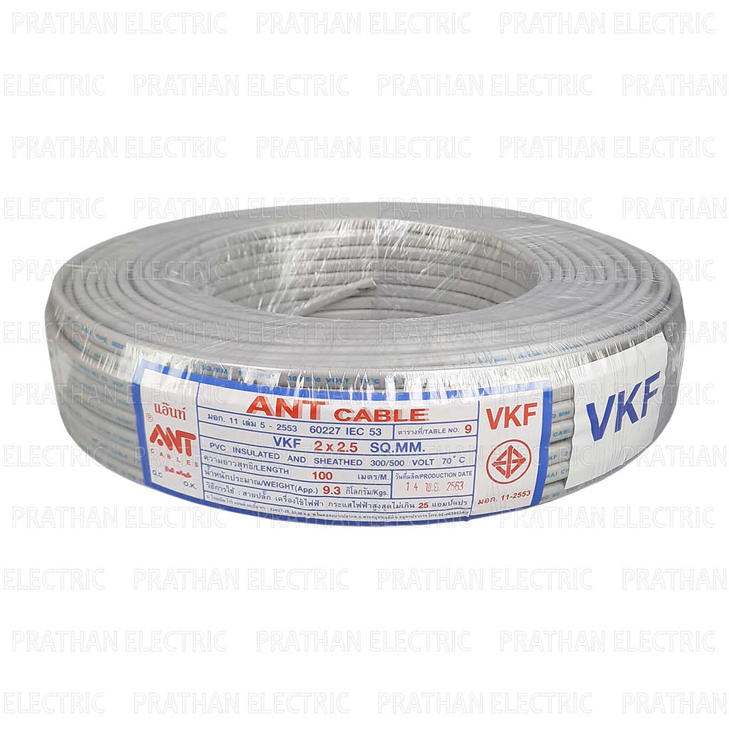 ประธานการไฟฟ้า