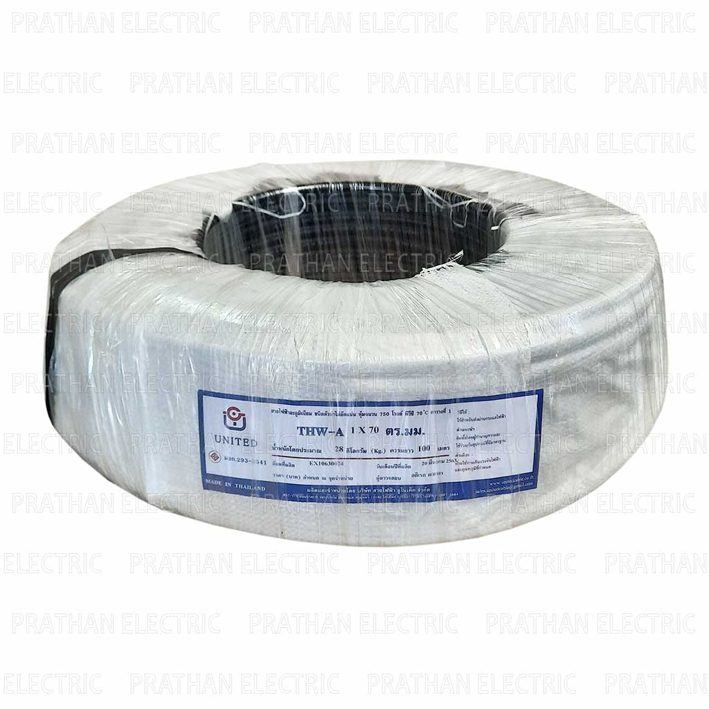 ประธานการไฟฟ้า