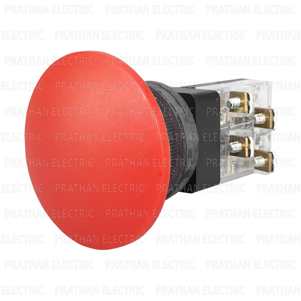 ประธานการไฟฟ้า