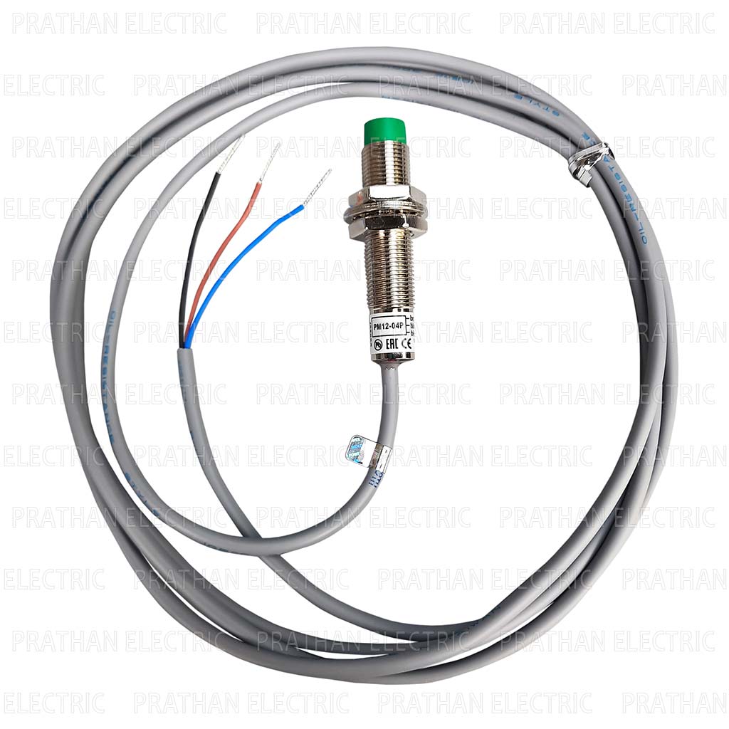 ประธานการไฟฟ้า