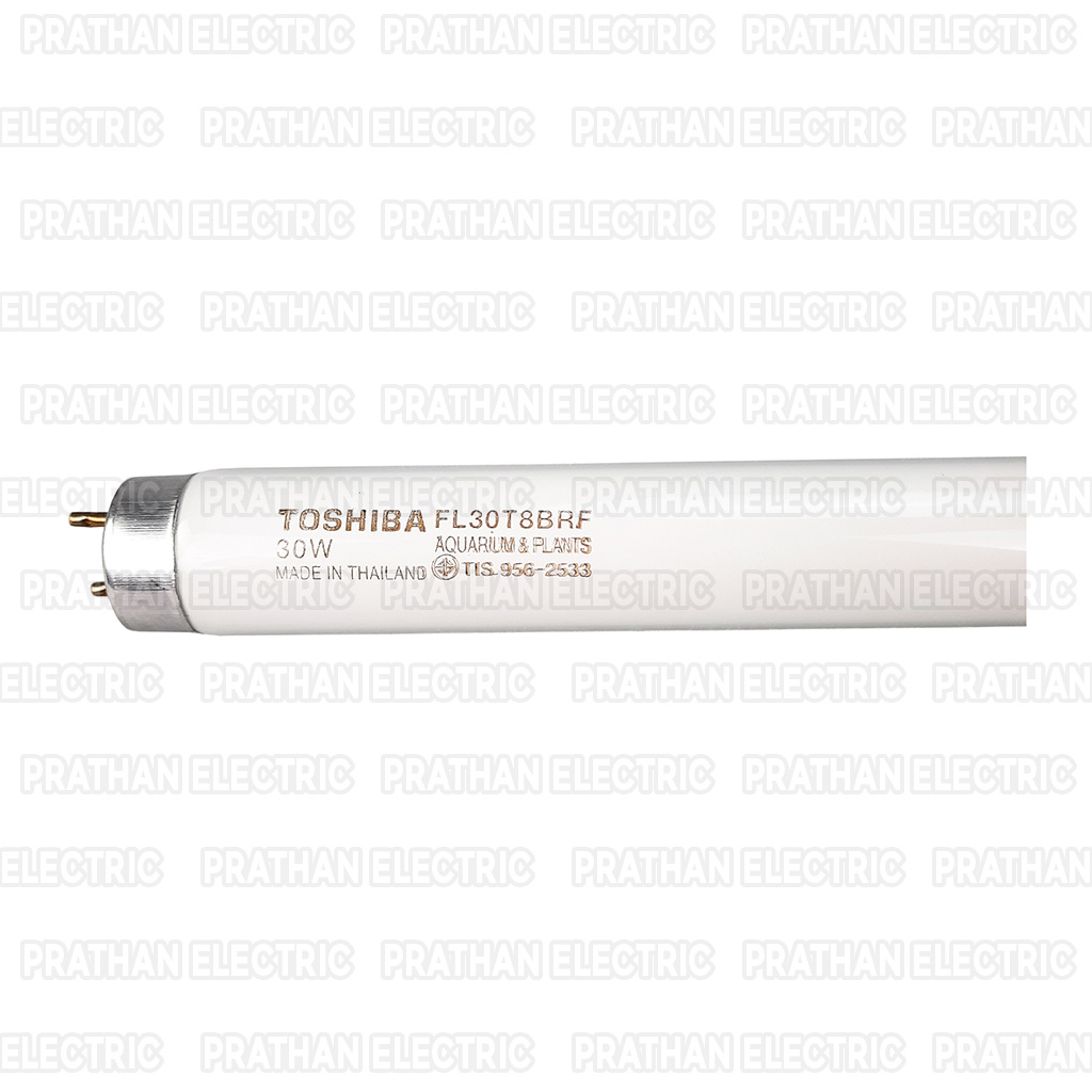 ประธานการไฟฟ้า