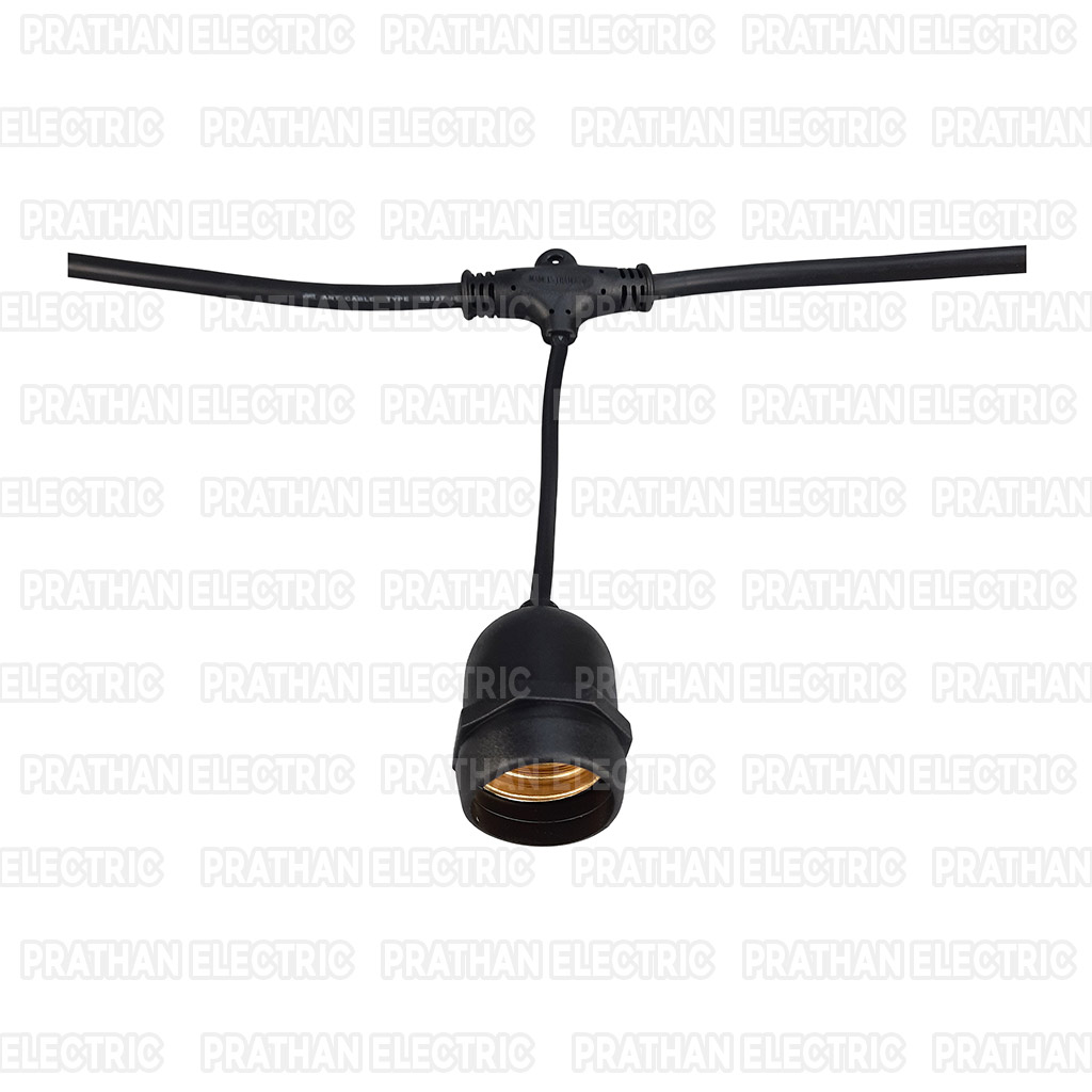 ประธานการไฟฟ้า